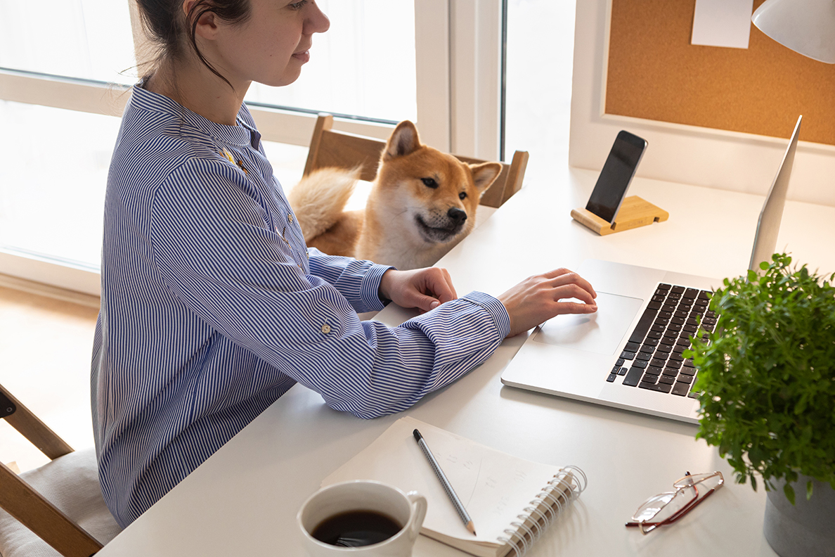 6 Tips to Create a Productive Work-From-Home Workspace